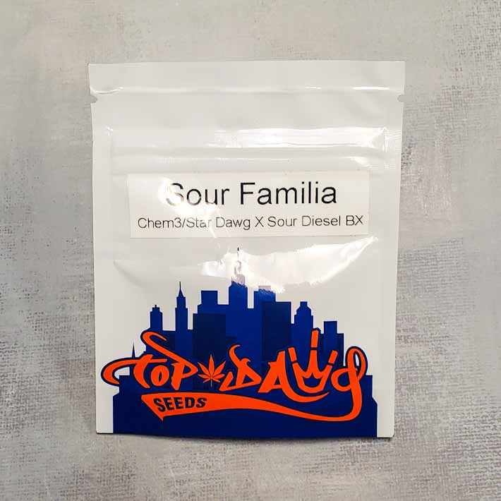 Lot #146 Top Dawg Sour Familia (Chem3/Star Dawg x Sour Diesel BX) [Reg ... Lot #146 Top Dawg Sour Familia (Chem3/Star Dawg x Sour Diesel BX) [Reg ...